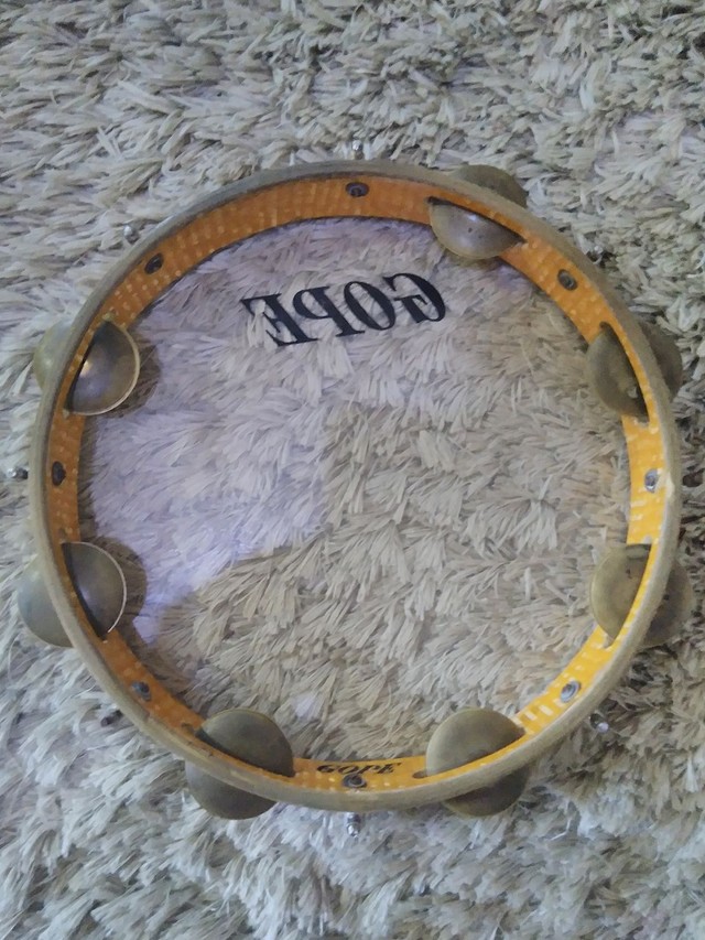 Pandeiro de 12 polegadas | +29 anúncios na OLX Brasil