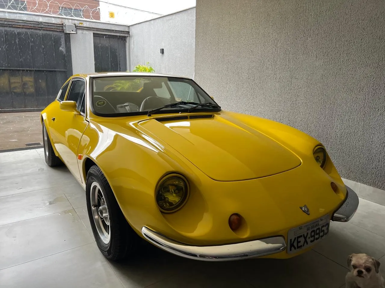 PUMA GTE Usados e Novos