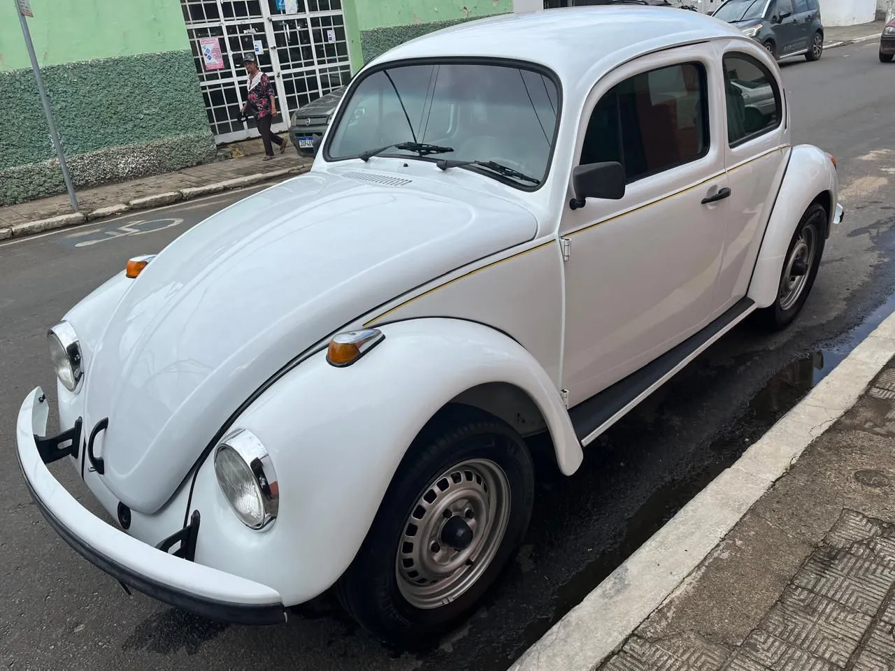 Volkswagen Fusca 1996 Usados e Novos