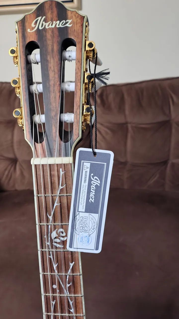 VIOLÃO IBANEZ TOD10N - ASSINATURA TIM HENSON - BANDA POLYPHIA ...