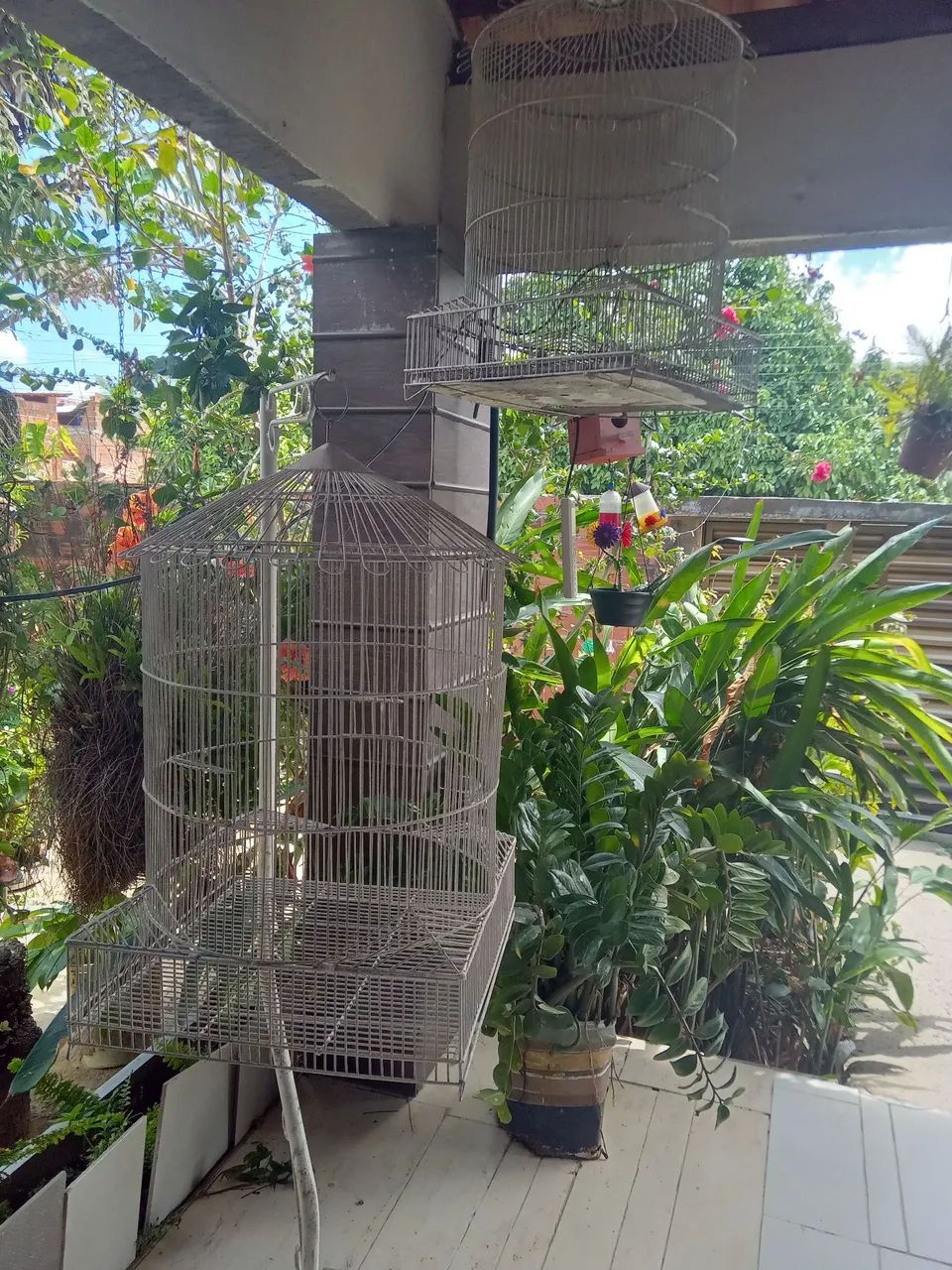 Gaiolas usadas sim, por amigos alados k se foram . Mais é espaçosas aos ...