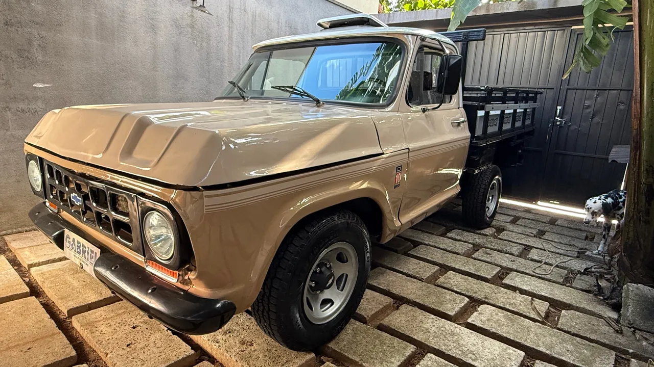 CHEVROLET D-10 Usados e Novos em SP
