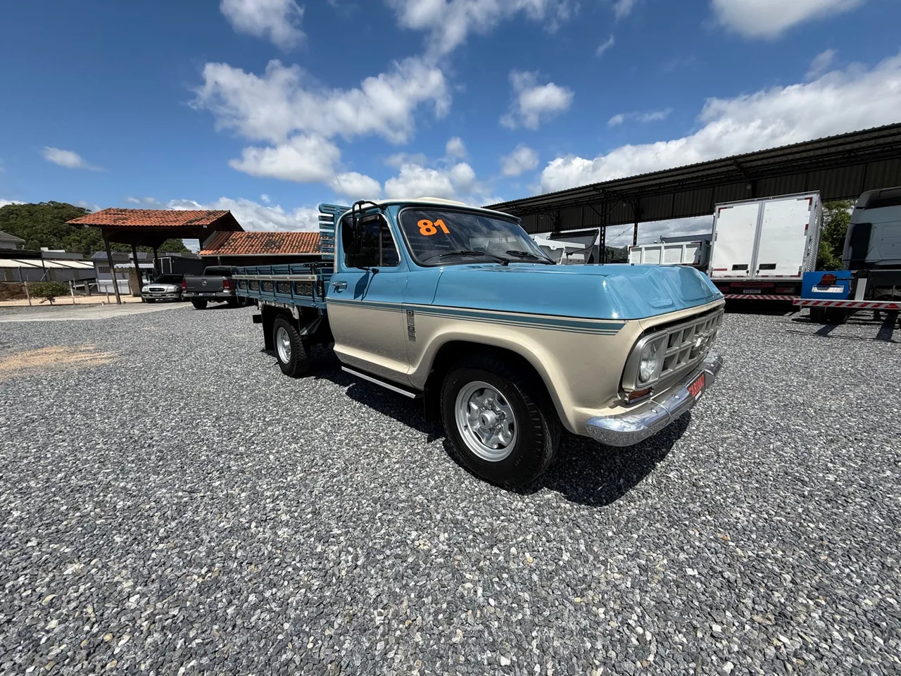 CHEVROLET D-10 Usados e Novos