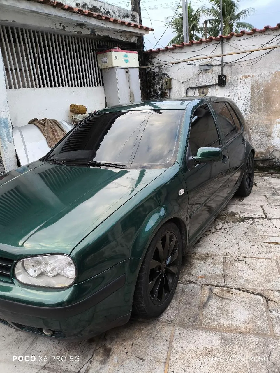 "golf sapao" no Brasil