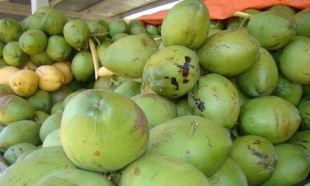 "coco verde" no Brasil