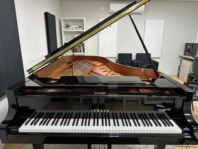 "pianos de cauda" - Instrumentos musicais no Brasil