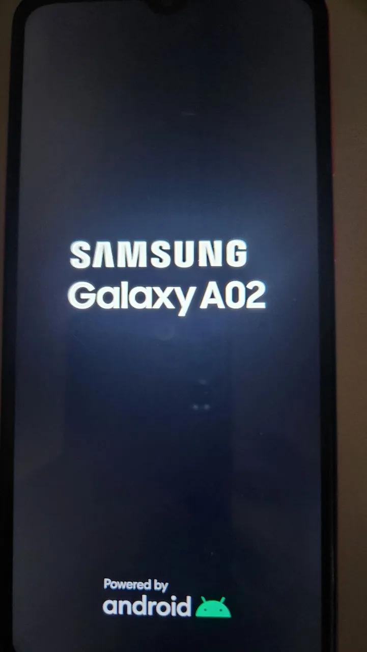 Celulares SAMSUNG GALAXY A02 Usados, seminovos e Novos no Brasil
