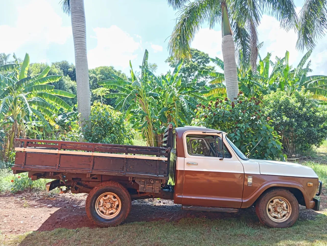 CHEVROLET D-10 Usados e Novos em Maringá e região, PR