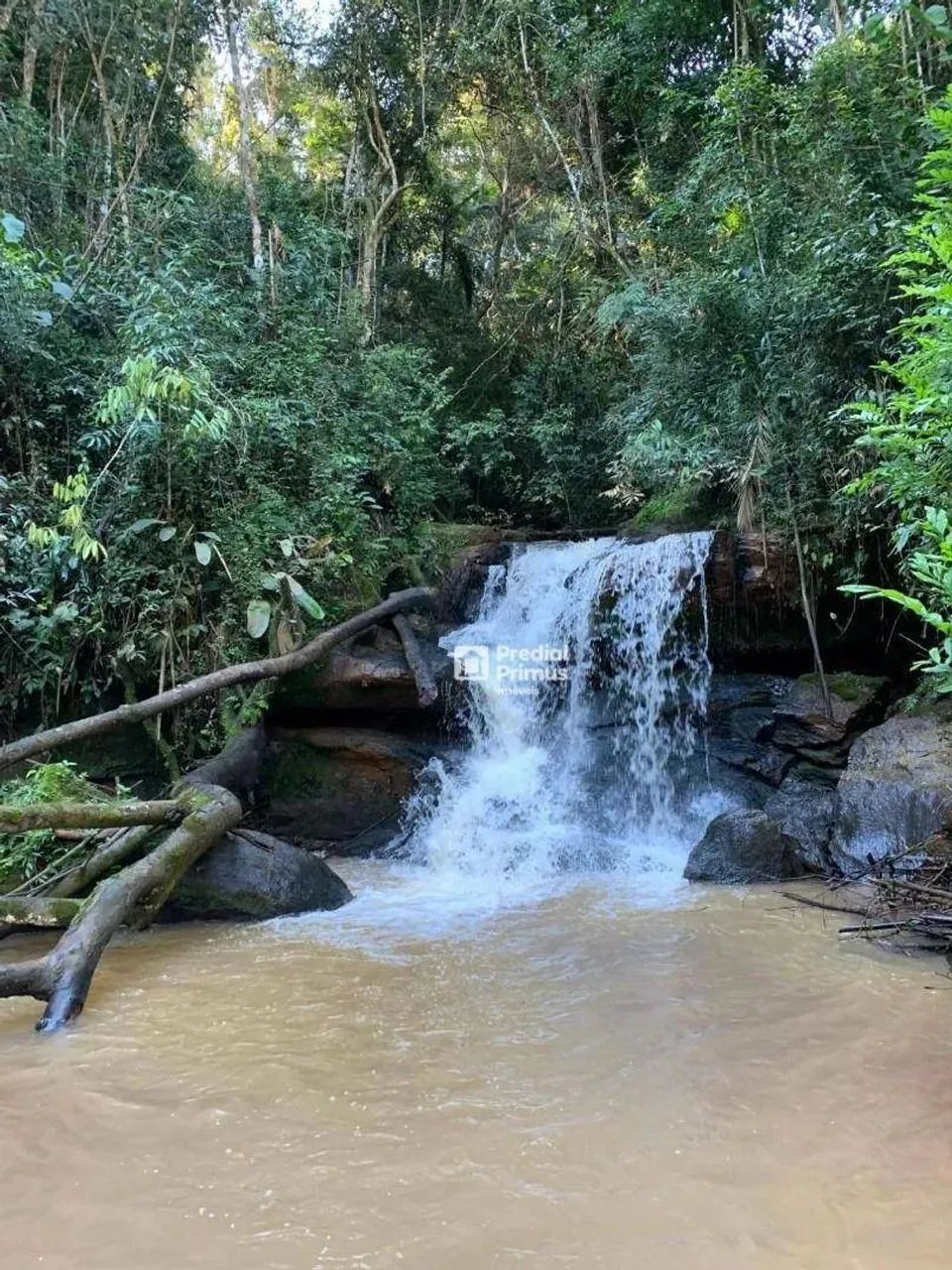 Fazenda de 290 Hectares com Infraestrutura Completa e Riquezas Natuais ...