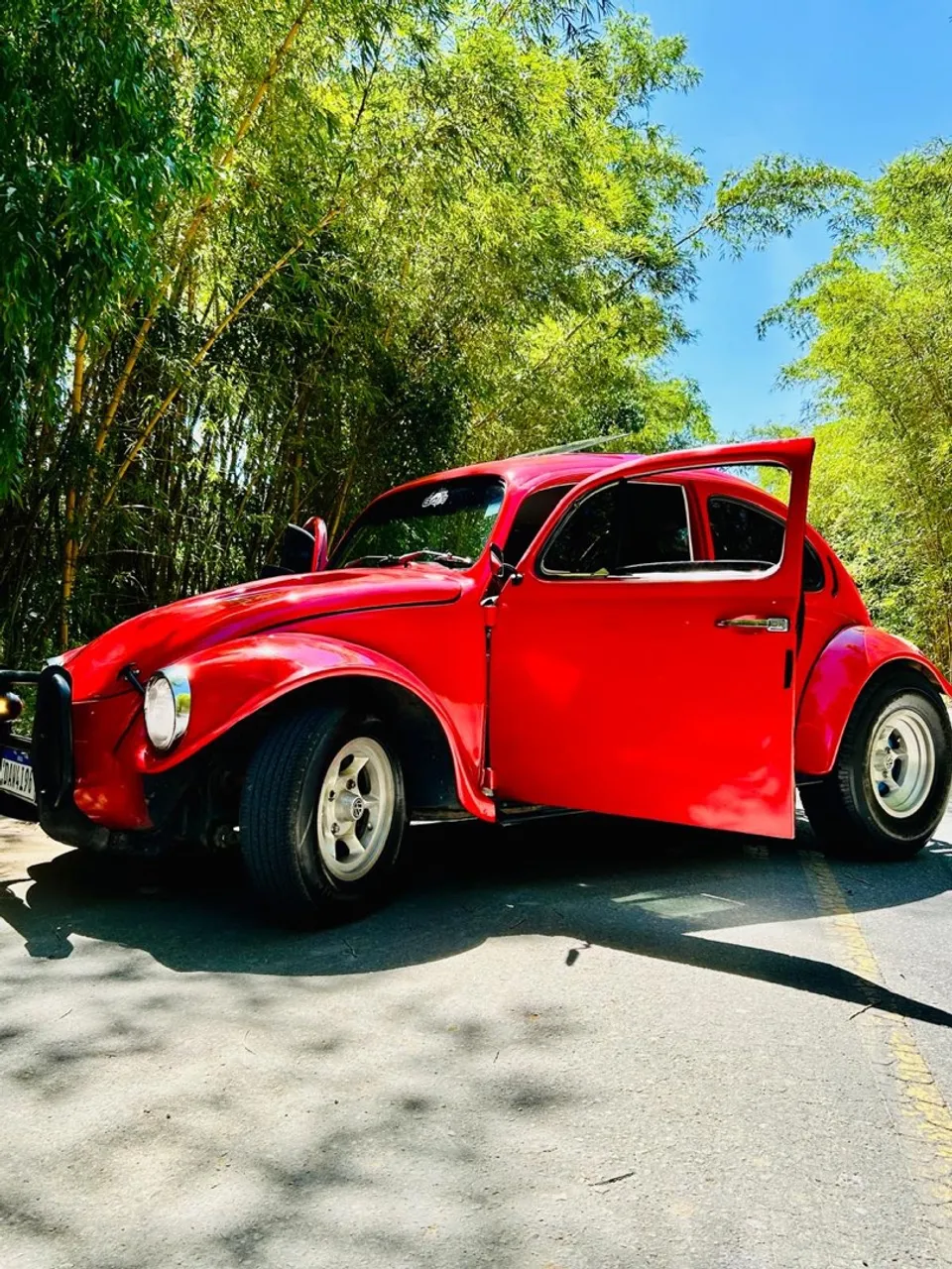 "fusca baja buggy" - Carros Usados e Novos à venda
