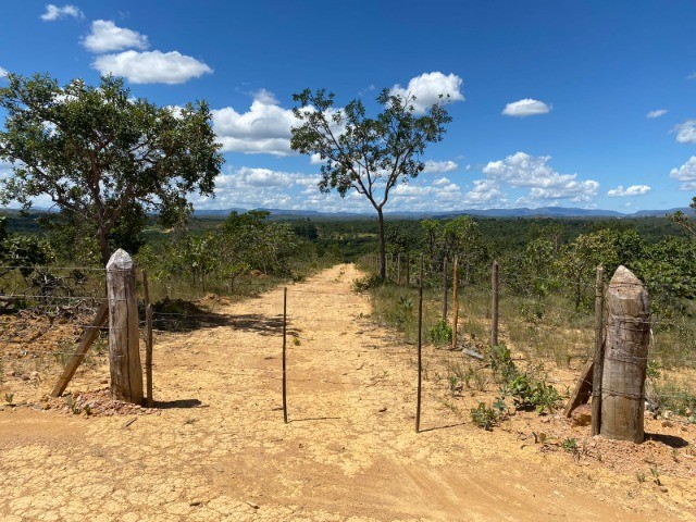 Terreno de 4ha, plano, 50% formado em baquearia, 80% terra de cultivo ...