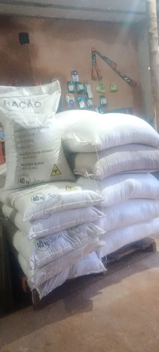 "milho 50kg" no Brasil