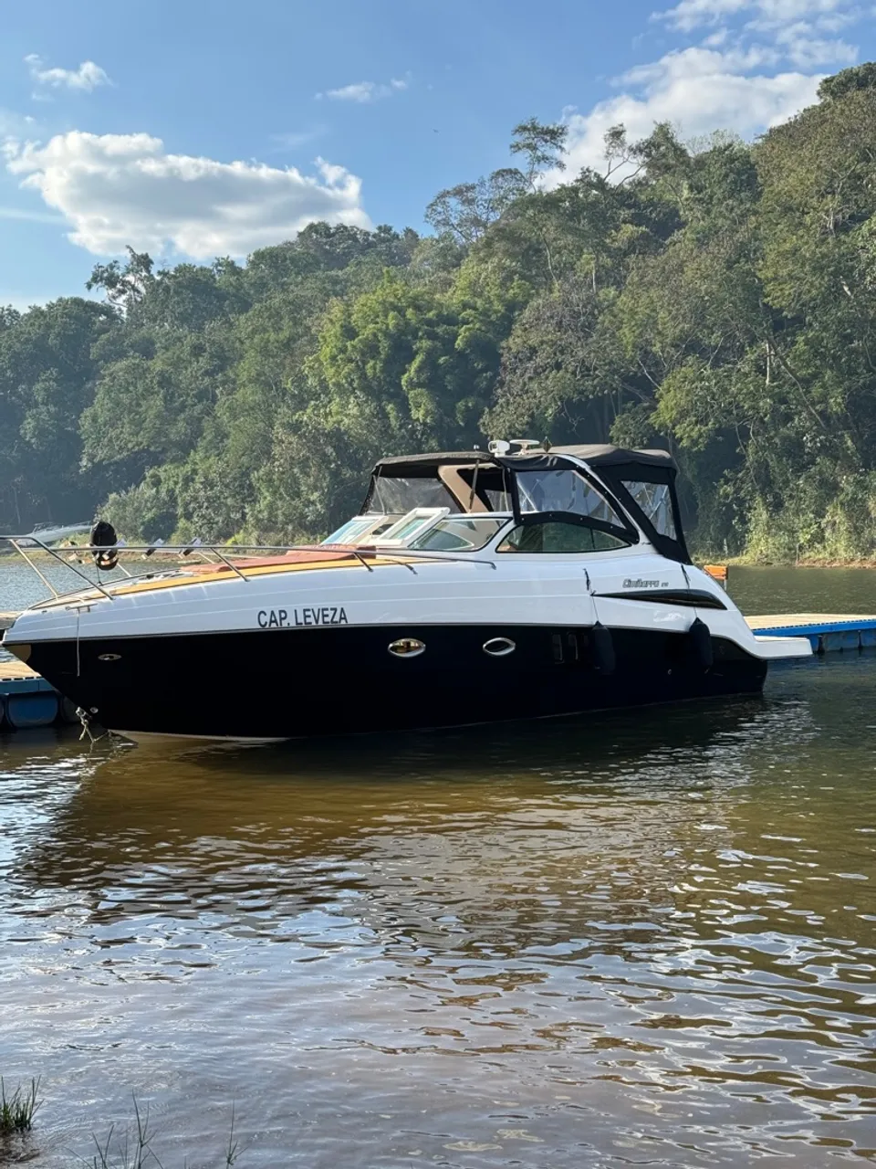 "cimitarra" no Brasil