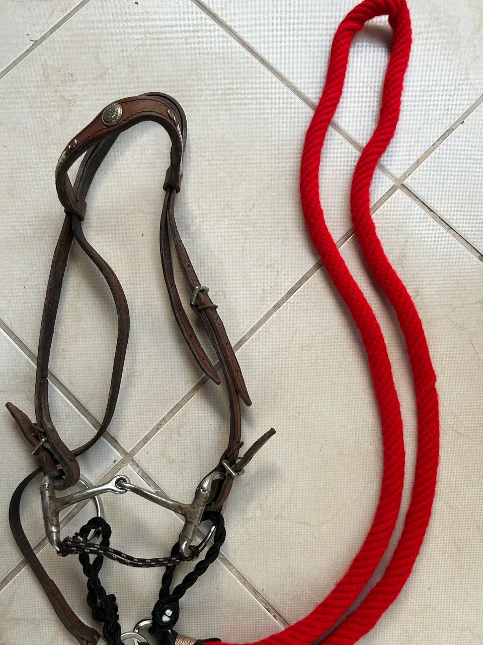 Cabeçada rédea e bridão - Animais para agropecuária - Vila Edmundo ...