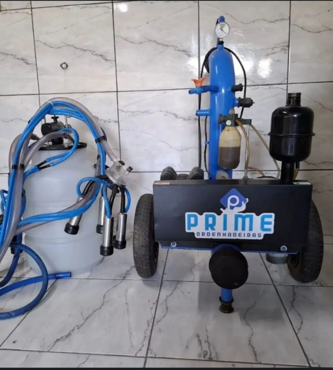 "ordenha completa" no Brasil