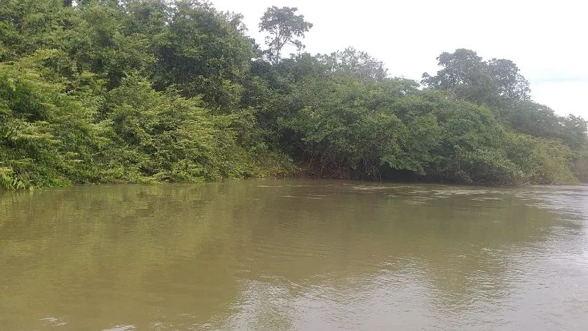 Chácara Rio Caiapó 1800 m2 Casa com 3 suítes Rio caiapó 062.998.120.255 ...