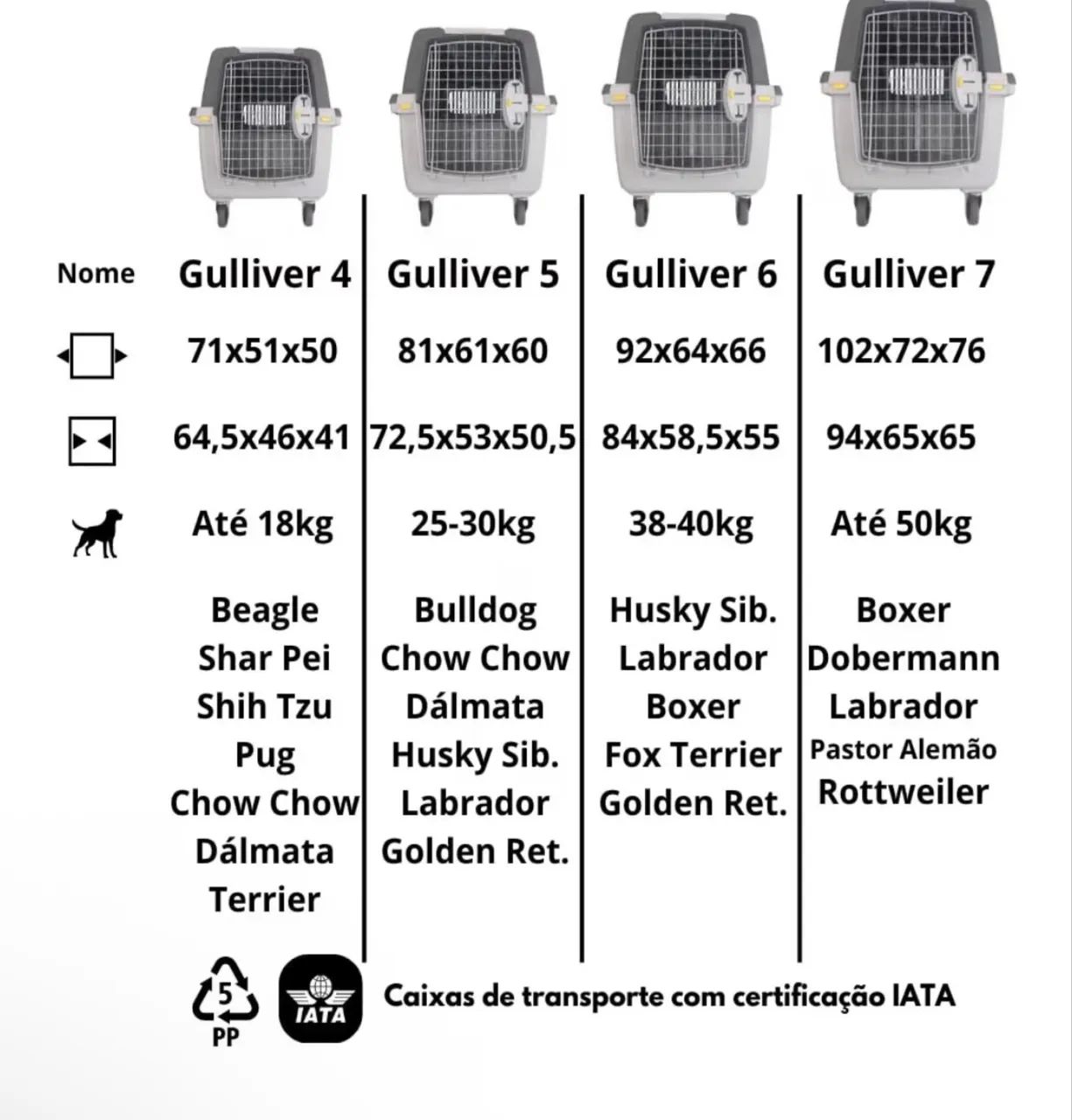 Caixa de viagem Gulliver 4 - Cachorros - Santa Quitéria, Rio Branco ...
