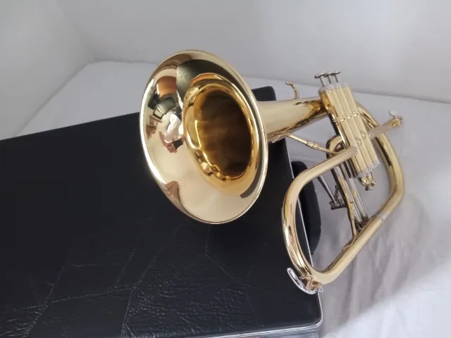 "instrumentos carron" no Brasil