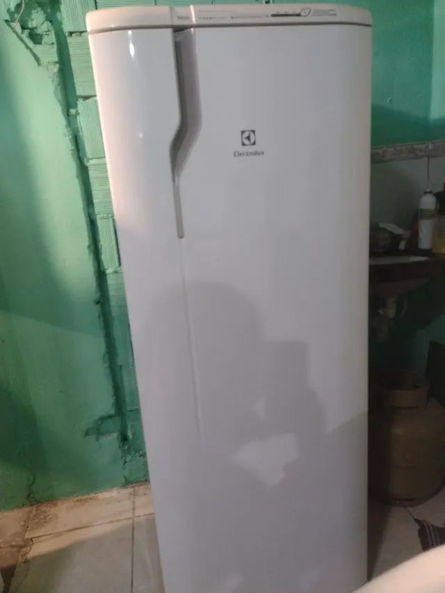 "geladeira eletrolux rfe39" no Brasil