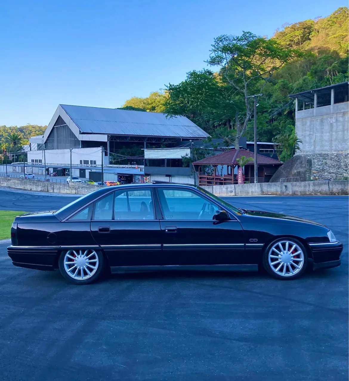 CHEVROLET OMEGA 1995 Usados e Novos