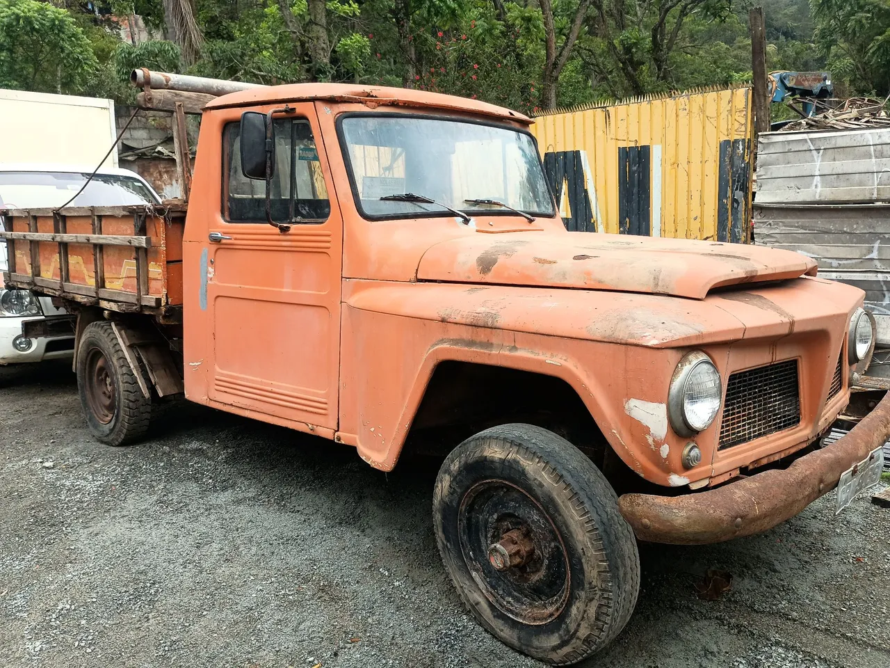 FORD WILLYS Usados e Novos