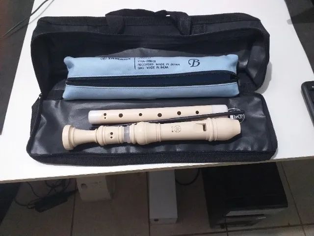 Flauta Doce Contralto - Instrumentos musicais - Samambaia Norte ...