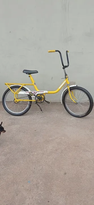 "bicicletas monaretas" - Ciclismo no Brasil