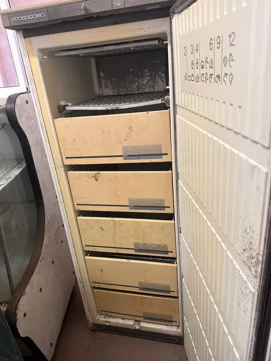 "freezer vertical prosdocimo" - Geladeiras e Freezers no Brasil