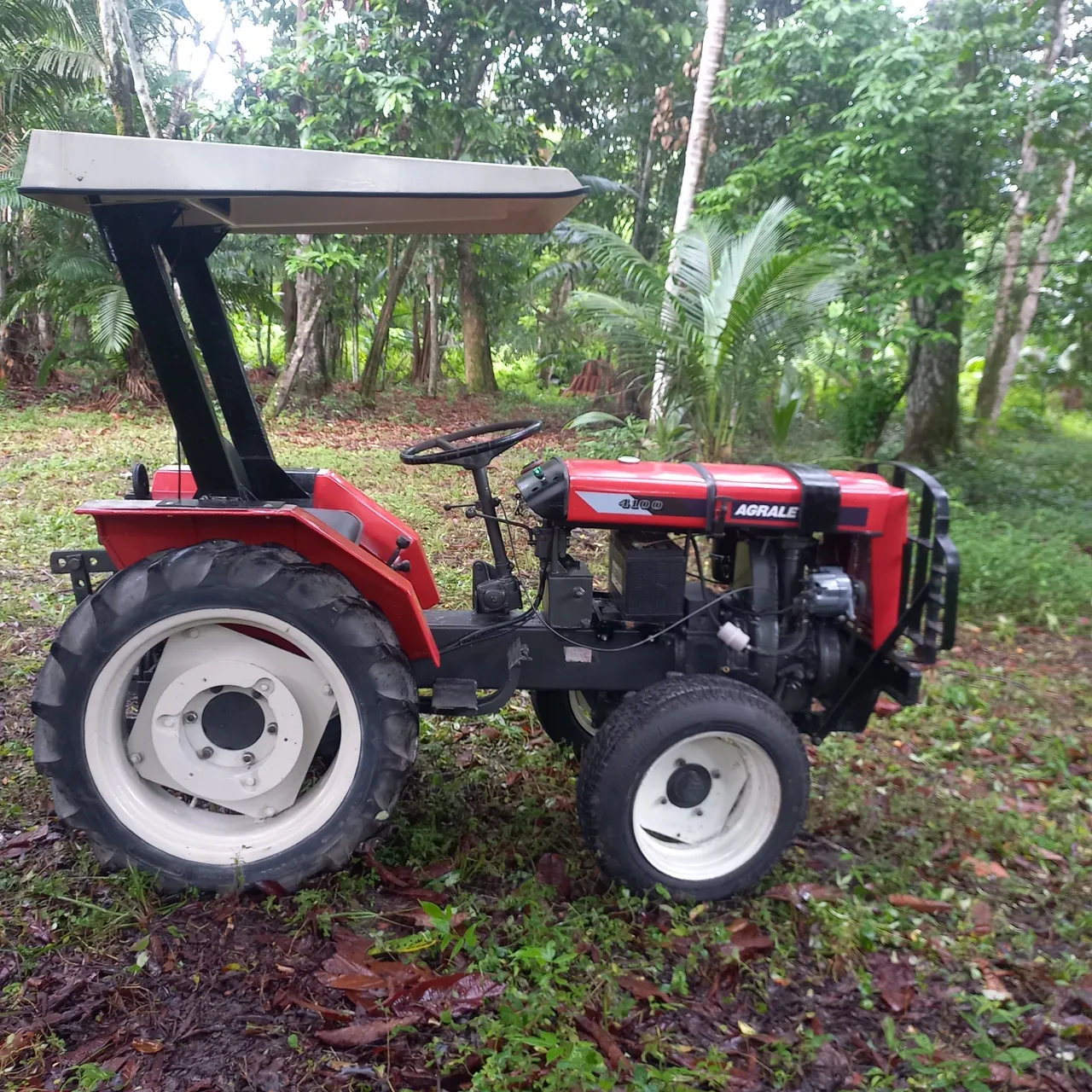 "agrale 4100" no Brasil