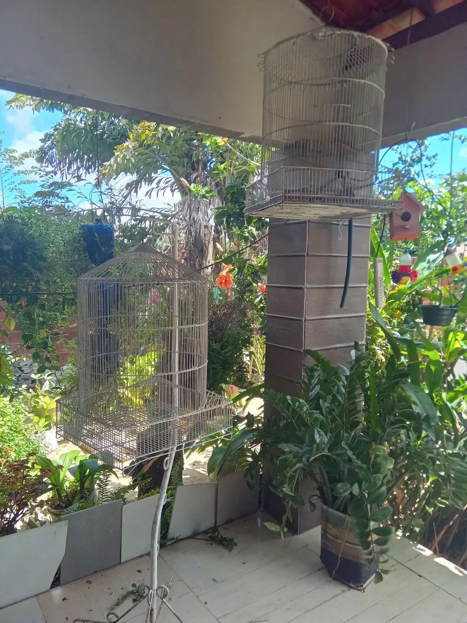 Gaiolas usadas sim, por amigos alados k se foram . Mais é espaçosas aos ...