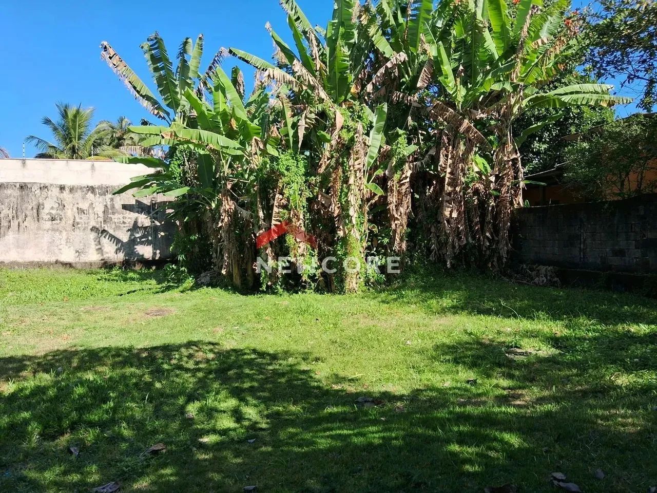 Lote em Rua Vereador Alcides Donadelli - Balneário Oásis - Peruíbe/SP ...