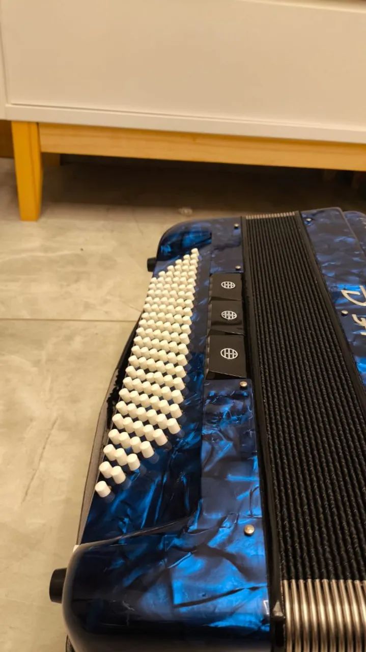 Sanfona (acordeon) 120 baixos - Instrumentos musicais - Plano Diretor ...