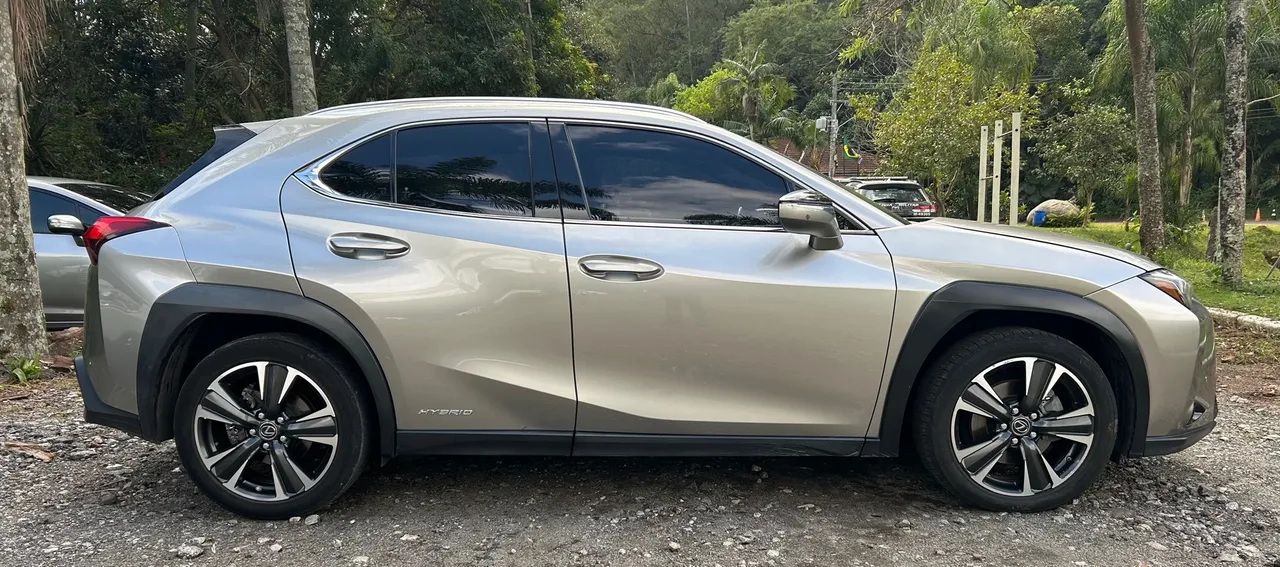LEXUS Usados e Novos em SP