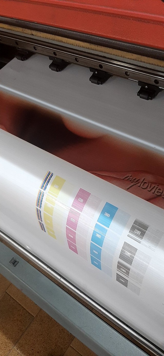 Cabeca konica | +15 anúncios na OLX Brasil