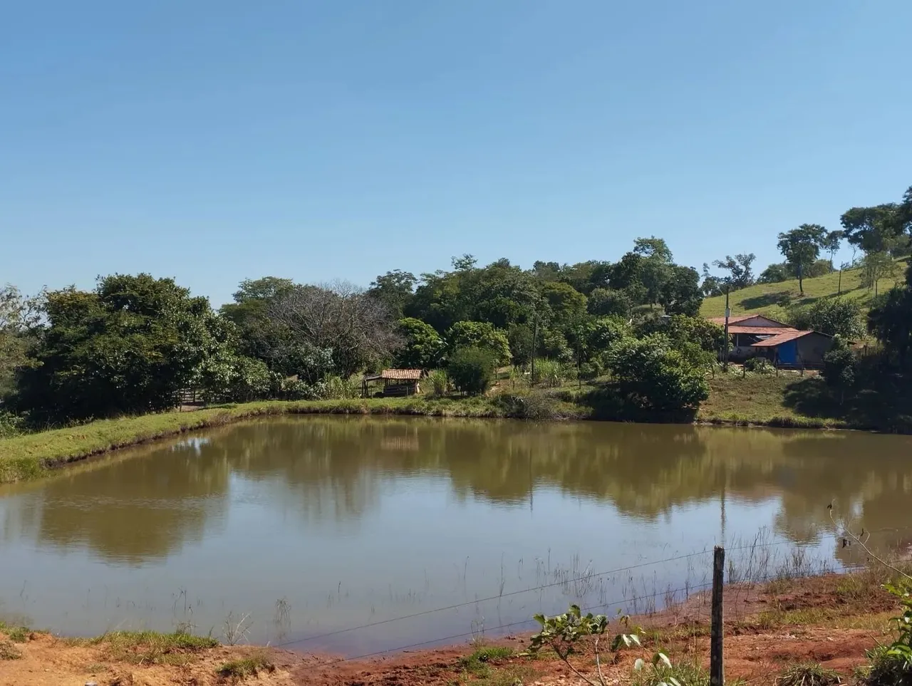 Fazendas à venda - Goiás, Outras cidades - GO | OLX