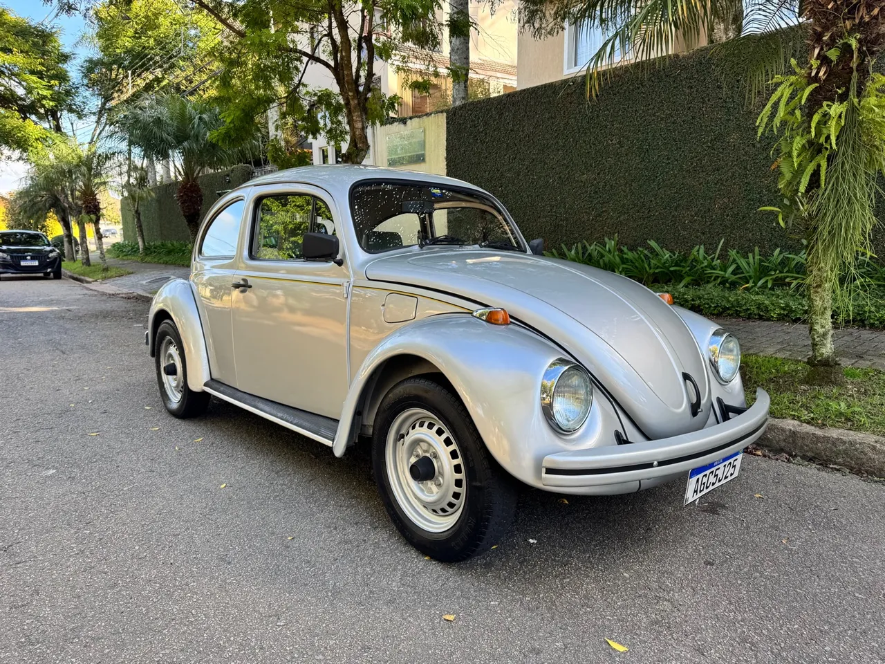 VOLKSWAGEN FUSCA 1996 Usados e Novos