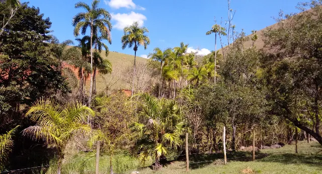 "sitio em sao francisco xavier" no Brasil