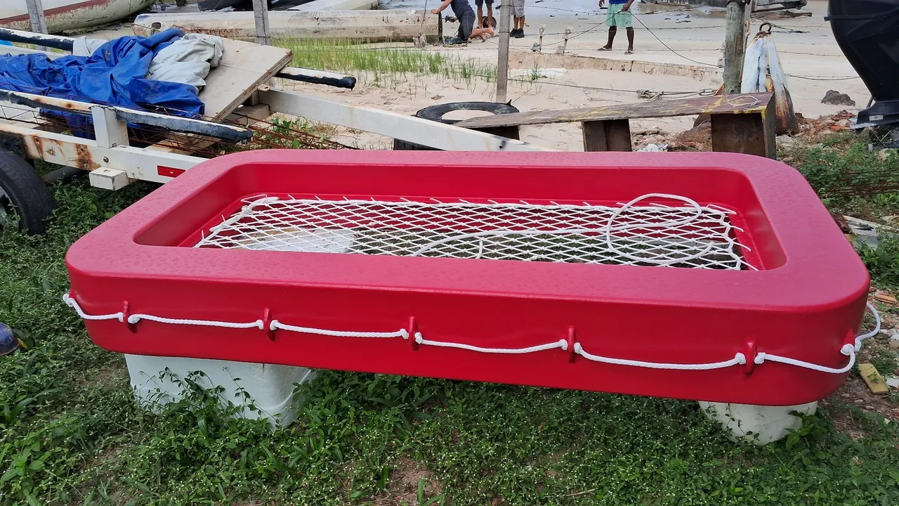 "balsa flutuante" no Brasil