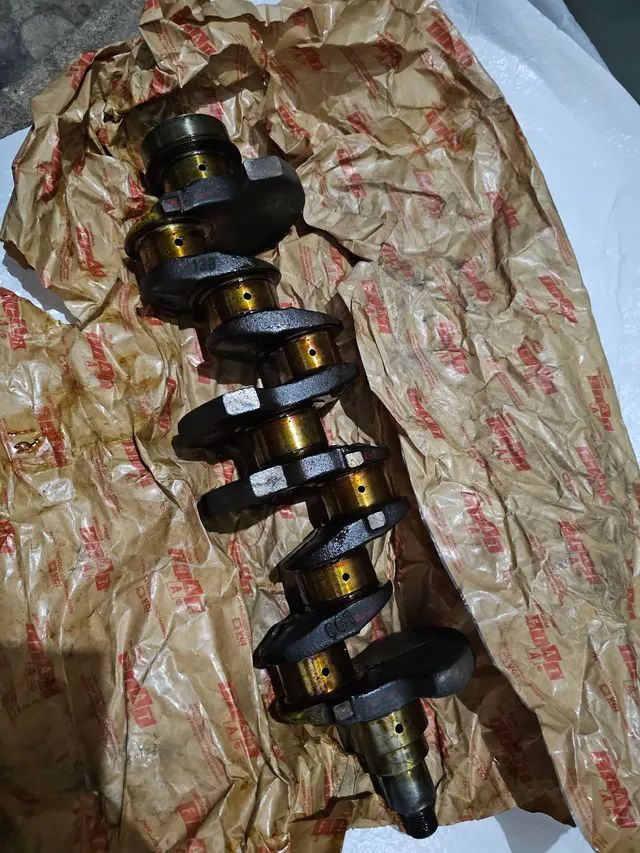 "motor fiat premio argentino" no Brasil