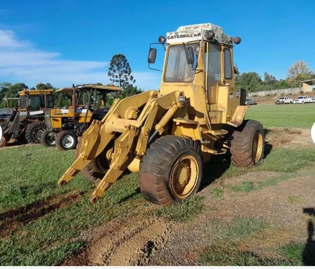 Concha cat | +77 anúncios na OLX Brasil