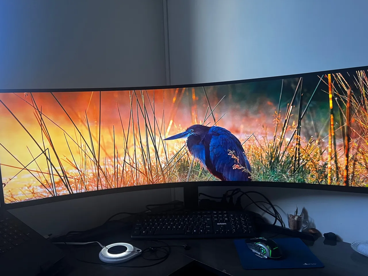 "monitor 49 polegadas" no Brasil