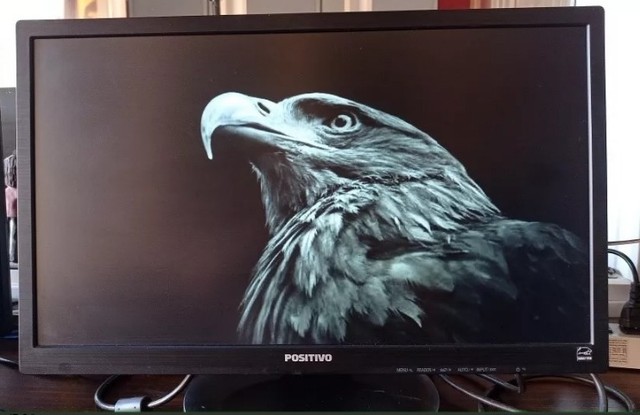 Monitor positivo 22 polegadas | +41 anúncios na OLX Brasil