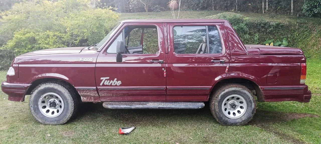 Ford F-1000 Usados e Novos