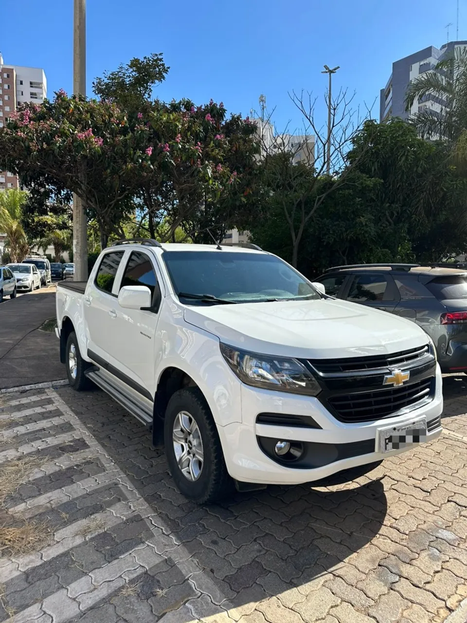 CHEVROLET S10 2020 Usados e Novos