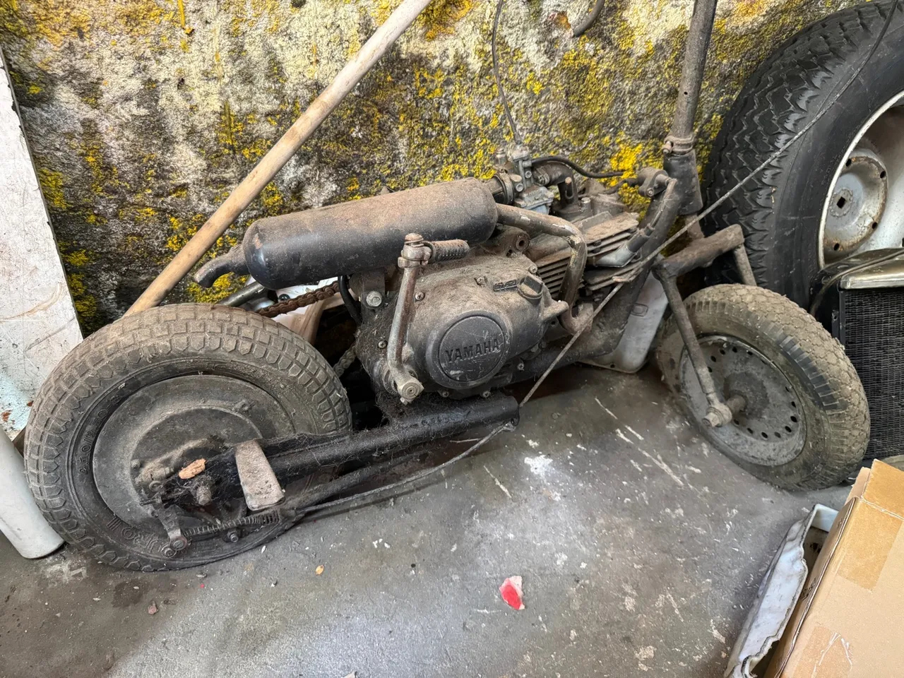 "walk machine" no Brasil