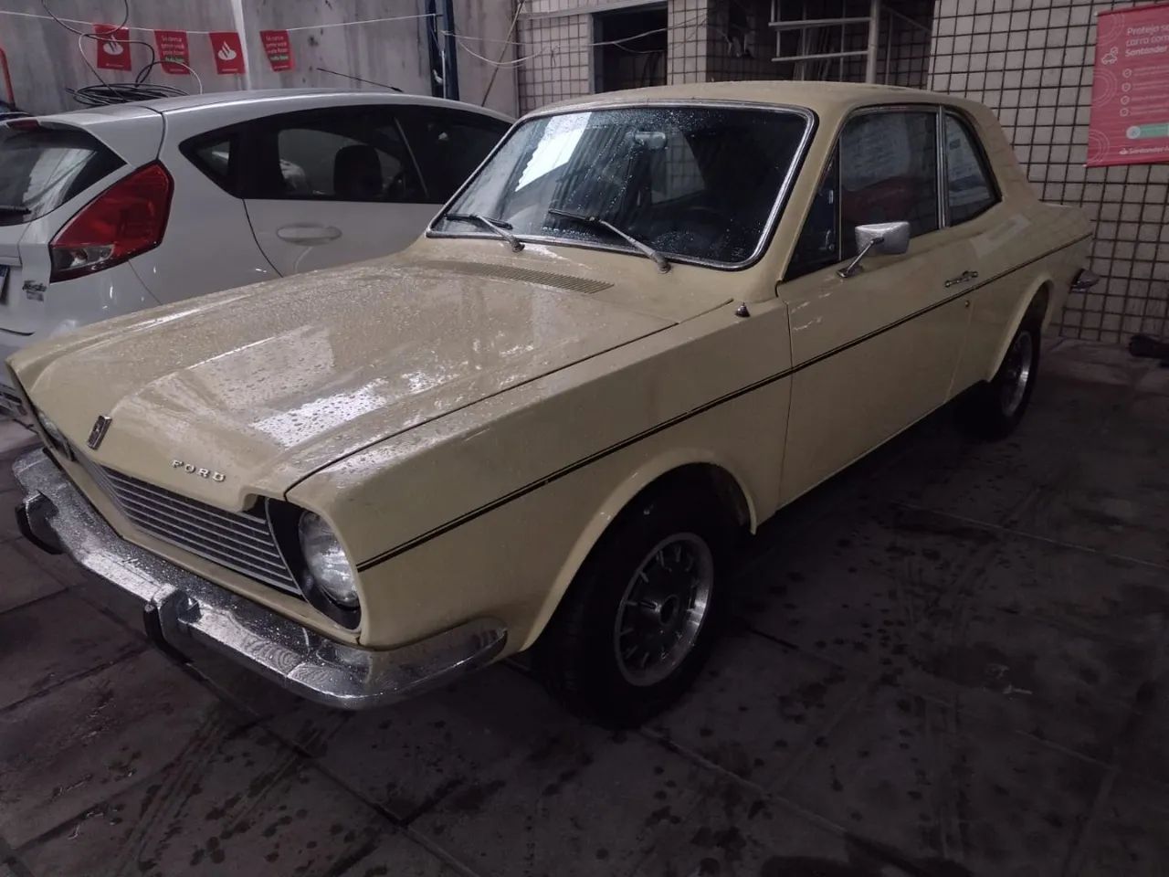 "corcel 01" no Brasil