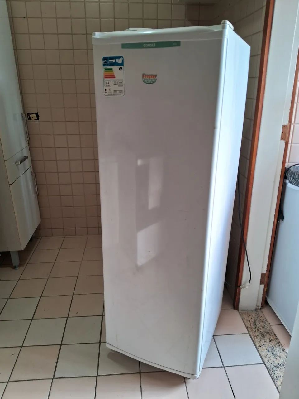 "freezer vertical frost free" - Geladeiras e Freezers no Brasil