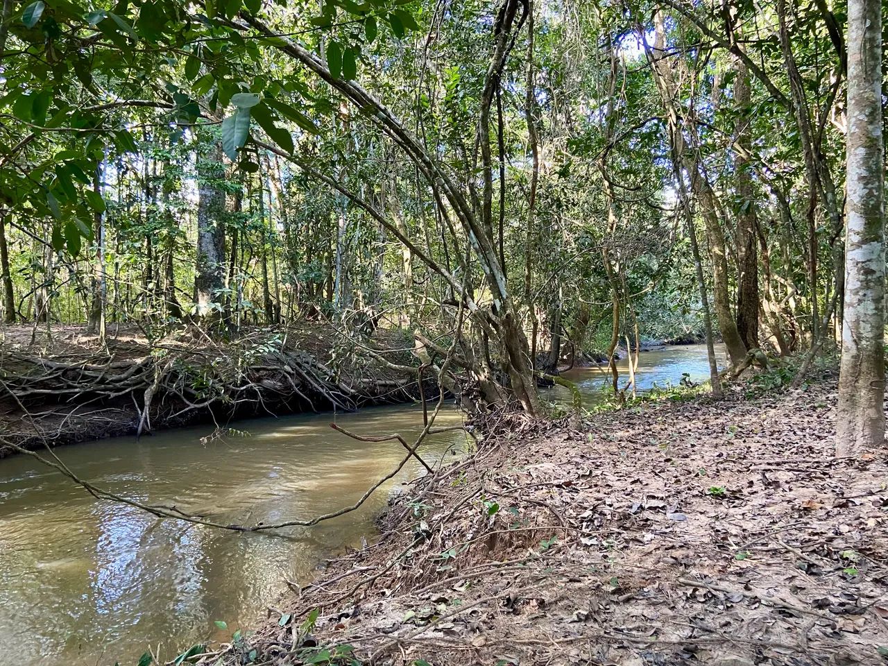 Chácara parcelada no RIO URU - 20.000 m2 - Terrenos, sítios e fazendas ...