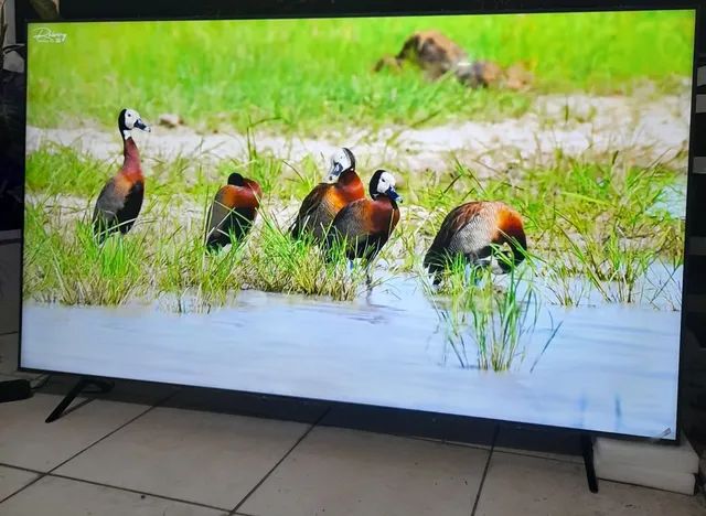 "tv de 75 polegadas smart" no Brasil