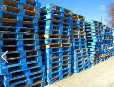 "paleto azul" no Brasil